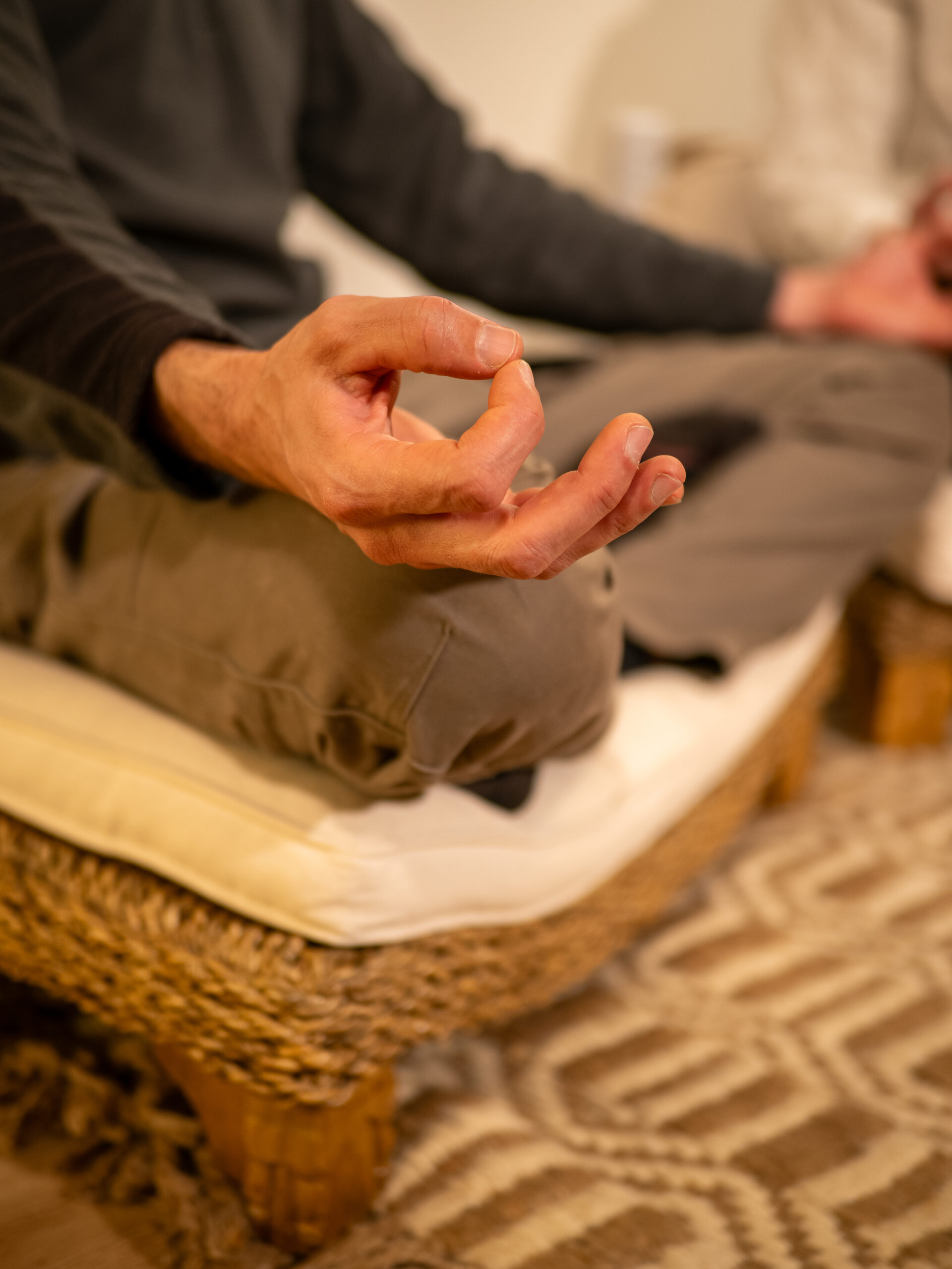 Platform CHS | A Consciousness Studio